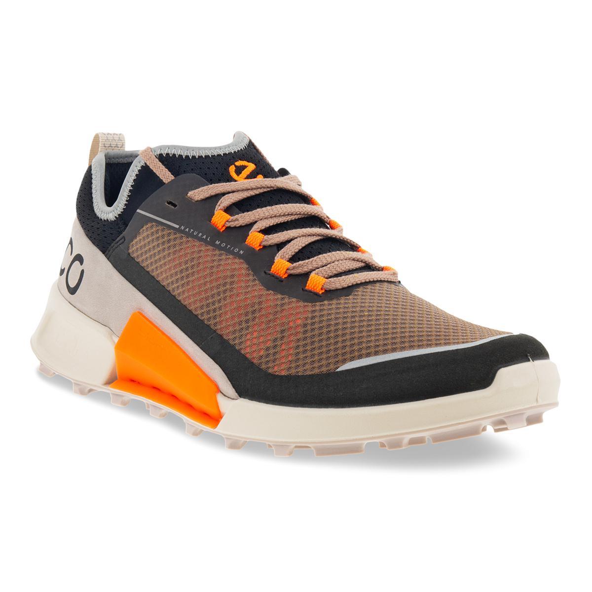 Ecco Biom 2.1 | ICR | Online მაღაზია